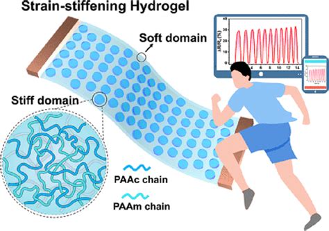Skin Inspired Patterned Hydrogel With Strain Stiffening Capability For
