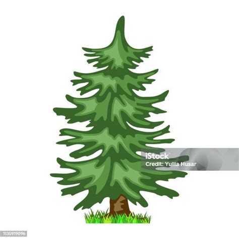 사계절의 침 엽 나무봄 여름 가을 겨울 자연과 생태 만화 스타일 녹색 나무 그림 가문비나무에 대한 스톡 벡터 아트 및 기타 이미지 Istock