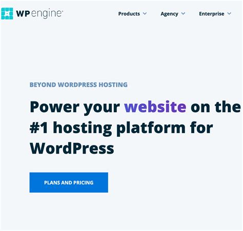 best wordpress hosting plugins themes to build your website