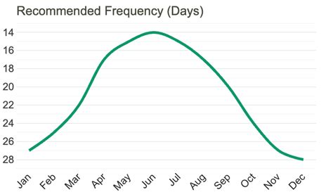 Mangrove Rhizophora Apiculata Plant Care And How To Grow Water