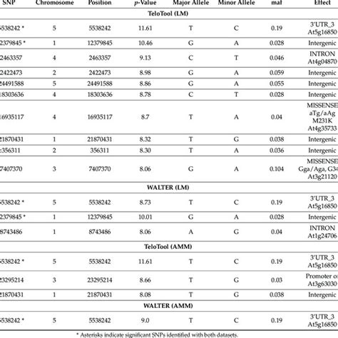 Gwas Significant Snps For Telomere Length In The Telotool And Walter