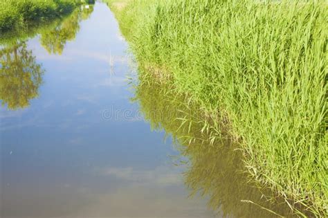 Rural Landscape With Ditch Green Grass And Water Image With Reflection Of The Sky On Water