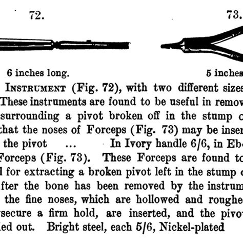 Weines Classification Of Root Canal Configuration Download