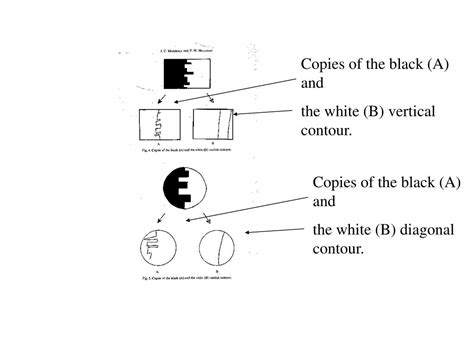 Ppt Binding Problems And Feature Integration Theory Powerpoint