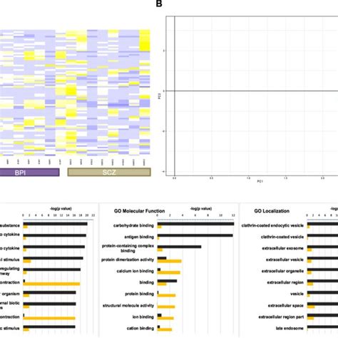 Comparative Gene Expression Analysis Of Cerebral Organoids