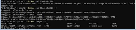 Your First Windows Docker Container Hello World