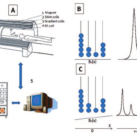 A Sketch Of The Spin Echo Sequence With The Inversion Module Download Scientific Diagram