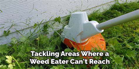 How To Cut Weeds Without A Weed Eater 9 Best Ways 2026