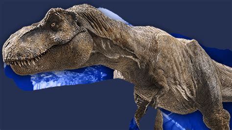 Jwfk Dual Background Rexy Wallpaper By Sonicalexanderdx97 On Deviantart