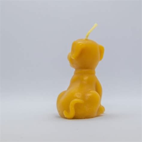 Psík Sviečka Zo 100 Včelieho Vosku