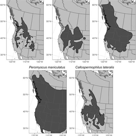 Range Maps Of The Various A Focal Species And B Infraspecific Pika