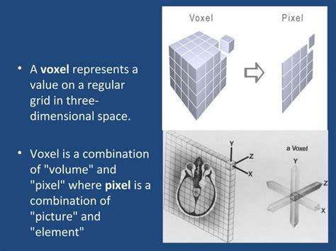 Dose Volume Histogram Pdf