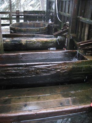 Bagby Hot Springs In Clackamas County