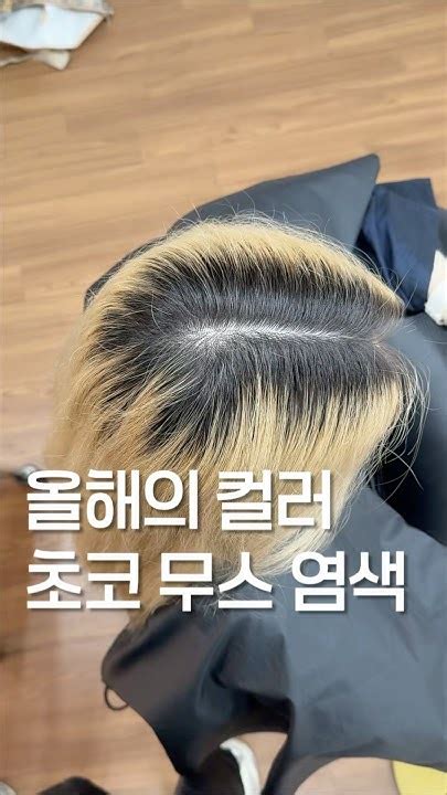 🍫2025년 모카 무스 염색🍫 백금발 블랙빼기 레드빼기 뿌리탈색 염색 컬러 브라운염색 쿨톤 웜톤 퍼스널컬러 추천 Youtube