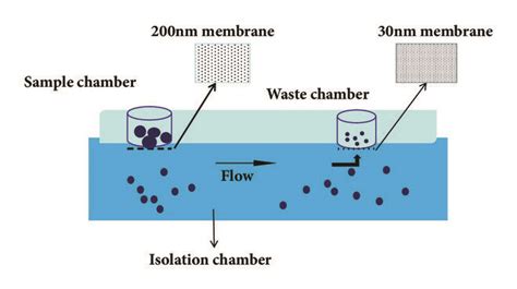 Schematic Of An Integrated Double Filtration Microfluidic Device For Download Scientific