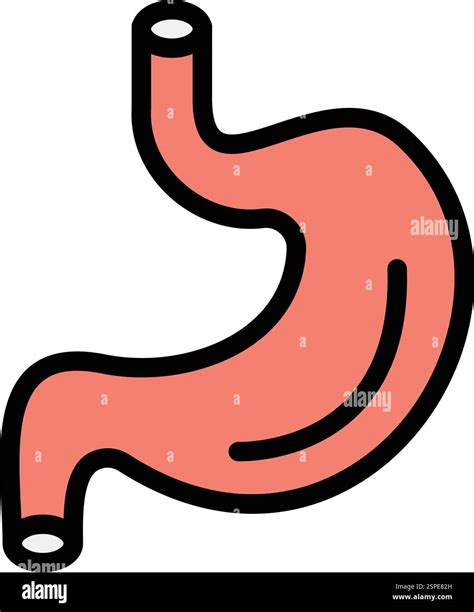 Stomach Vector Icon Design Illustration Stock Vector Image And Art Alamy