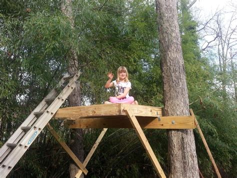 How To Build A Treehouse Phase Two The Base Homes For Sale And Rent In Greensboro NC Tree