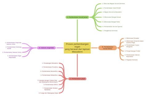 Proses Perkembangan Organ Yang Berasal Dari Lapisan Mesoderm Coggle…