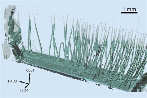 Leibniz Institut Für Kristallzüchtung Article