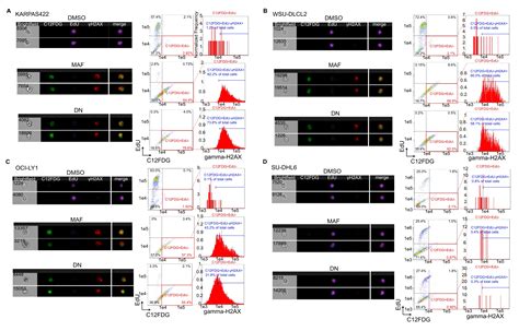 Simultaneous Imaging And Flow Cytometry Based Detection Of Multiple Fluorescent Senescence