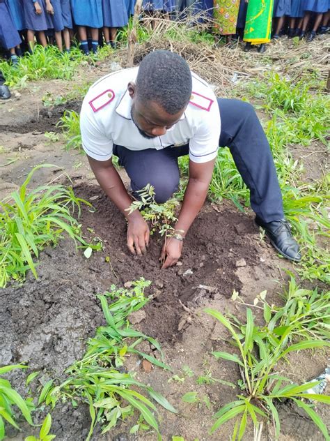 Muna Joins Forces With Nonm For Tree Planting Campaign Nonm