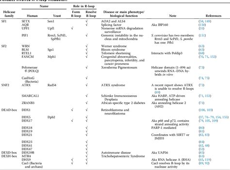 Table 1 From Helicases In R Loop Formation And Resolution Semantic Scholar