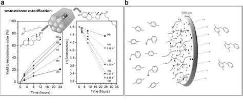 Figure 1 From Metal Organic Framework Based Hierarchically Porous