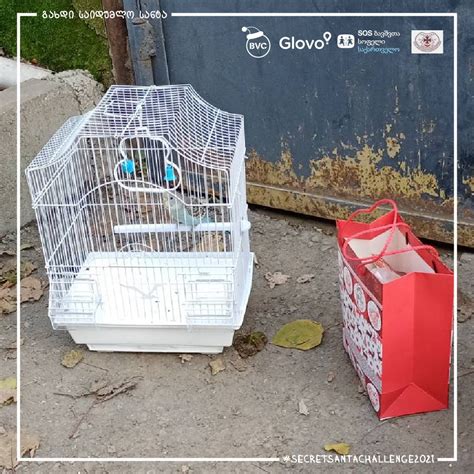 🎅 Secretsantachallenge ის სახელოსნოში წინასაახალწლო ფუსფუსი დაიწყო საიდუმლო სანტებმა