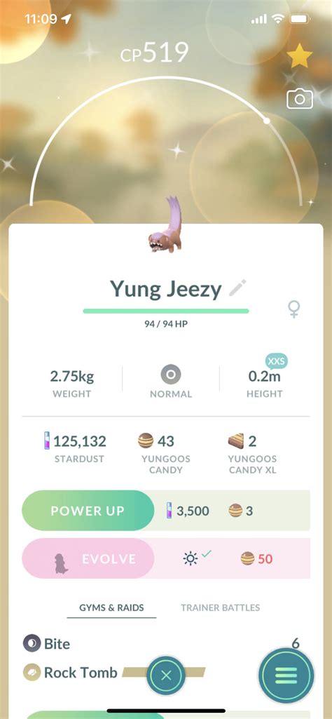 Shiny And Tiny Rpokemongobrag