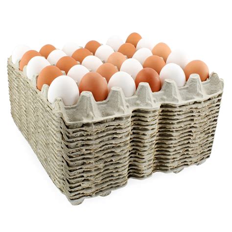 Dozen Eggs Carton