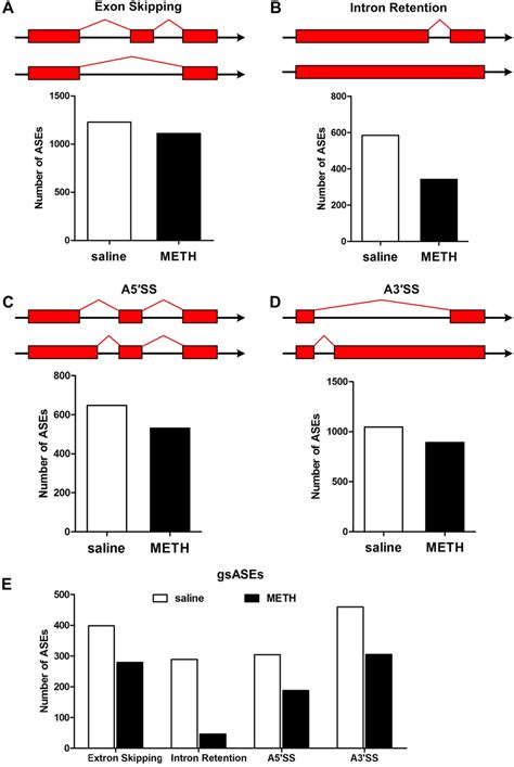 Variations On Alternative Splicing For Genes Transcription The Ases