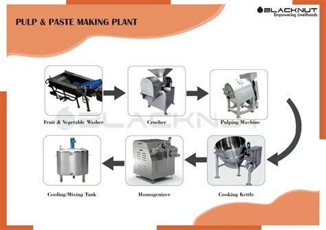 Mango Processing Plant Mango Grading Machine Manufacturer From Ambala