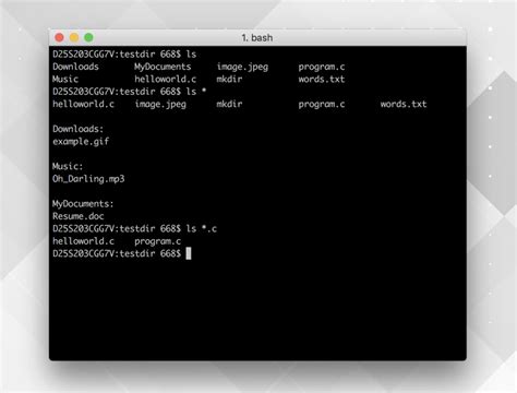 Typing Ls C In Your Shell