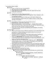 Lecture 18 Extra Cellular Matrix Extracellular Matrix ECM Outline Types Of ECM And Their