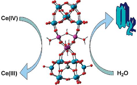 Polyoxometalate Embedding Of A Tetrarutheniumiv Oxo Core By Template Directed Metalation Of γ