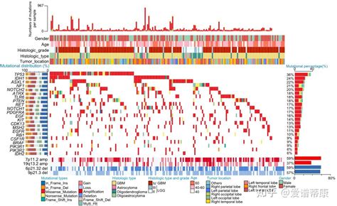 文献解读 弥漫性神经胶质瘤的蛋白质基因组学综合分析 知乎