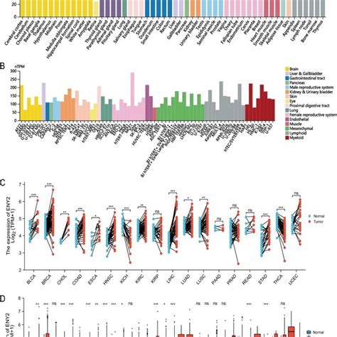 Protein Protein Interaction Ppi Network Go Analysis And Kegg