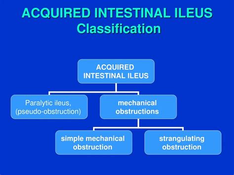 Ppt T Heme Of Lecture Acquired Intestinal Ileus Powerpoint