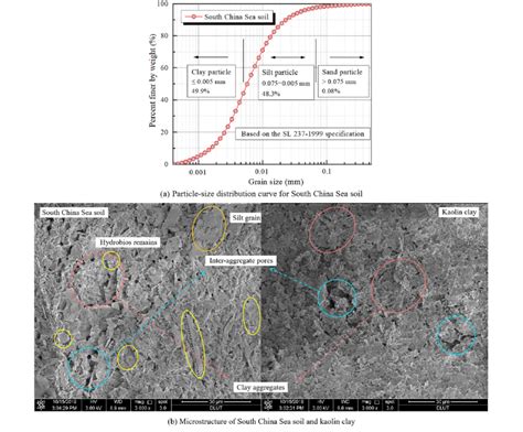 particle size distribution curve and microstructure of samples
