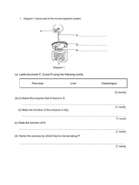 form 2 pdf pdf
