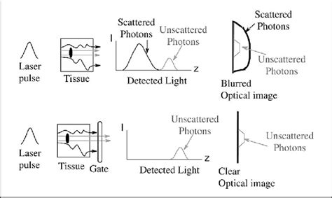 Optical Imaging Through A Highly Turbid Media Such As Biological Tissue