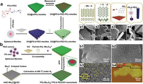 A Schematic Illustration For The Assembly Of Peo‐b‐pspy Single Download Scientific Diagram