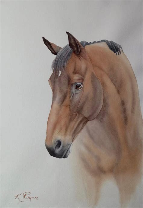 Adventures Ryan Jurga Facebook