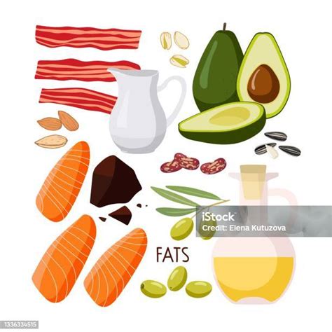 식품 다량 영양소 지방 식품 세트가 풍부합니다 흰색 배경에 고립 된 고지방 음식 올리브 기름 아보카도 생선 견과류 크림 베이컨 다크 초콜릿 영양 복합 다이어트 벡터 인포