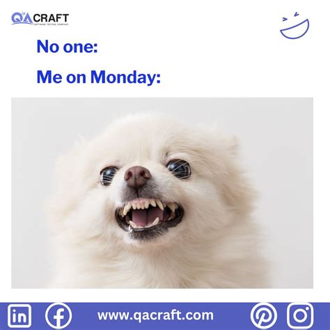 Qacraft Software Testing Company On Linkedin Qacraft Mondaymorning Softwaretestingcompany