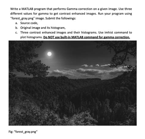 Solved Write A Matlab Program That Performs Gamma Correction