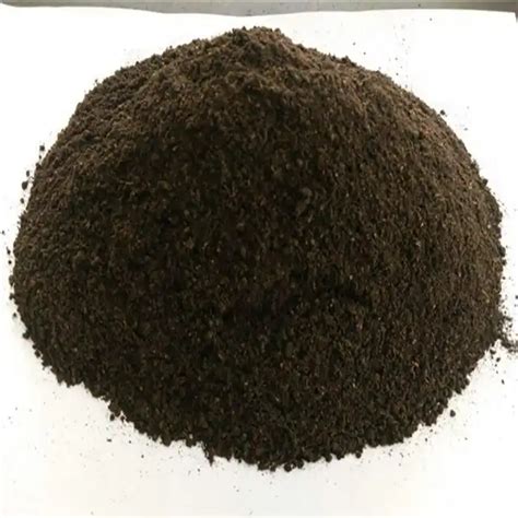 Natural Ascophyllum Nodosum Seaweed Extract Powder