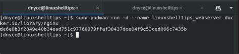 How To Install And Manage Podman Containers In RHEL Systems