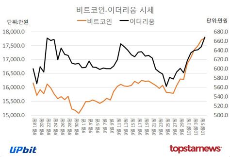 분석 거래액 94↓비트코인·이더리움↑ 리플 Xrp·도지↑ 솔라나 견조