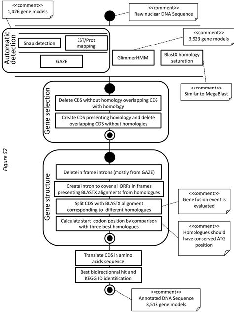 Ppt Raw Nuclear Dna Sequence Powerpoint Presentation Id 1991384